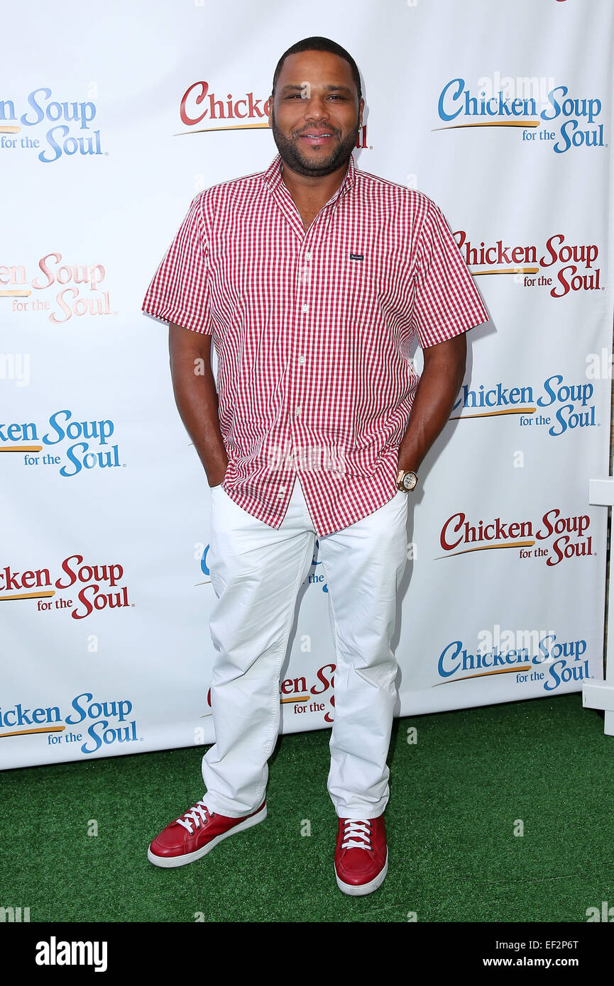Actor Anthony Anderson Joins Chicken Soup For The Soul to Celebrate its ...