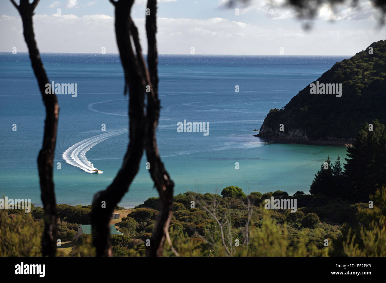 Small boat arriving at Awaroa Inlet, Abel Tasman National Park, Nelson ...