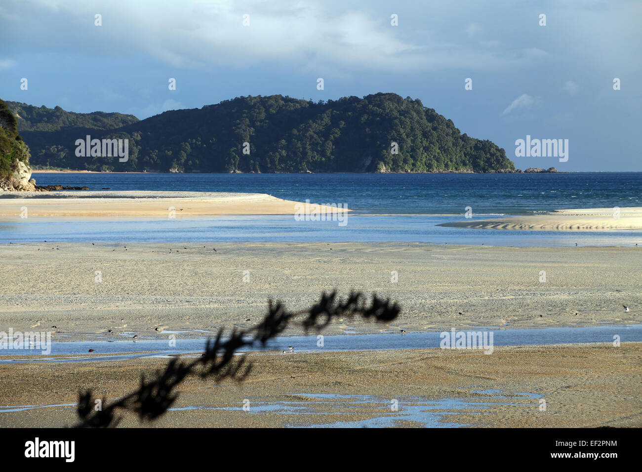 Awaroa Inlet, Abel Tasman National Park, Nelson, New Zealand Stock ...