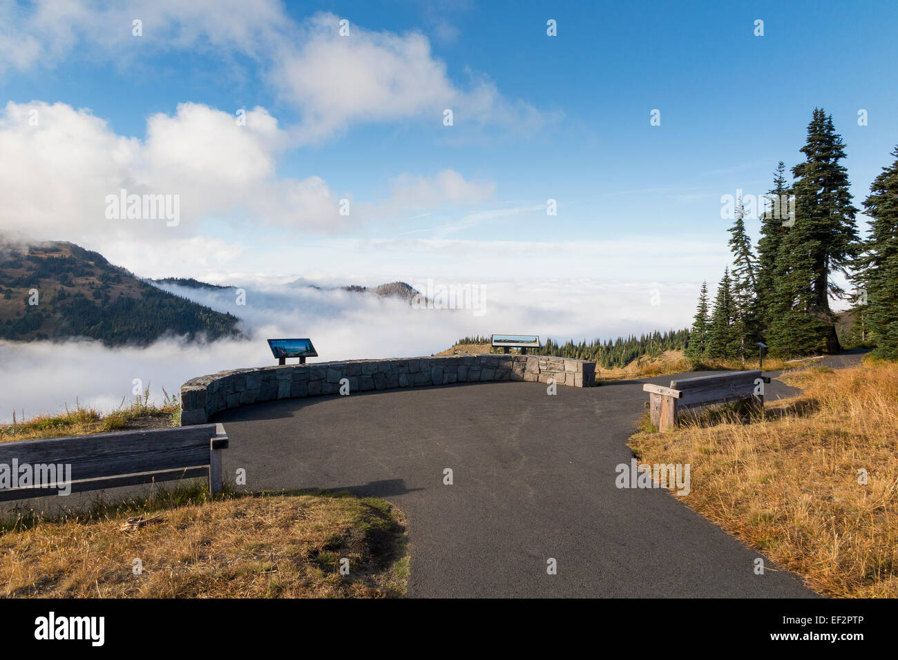 Scenic view / overlook along the Hurricane Ridge in Olympic National ...