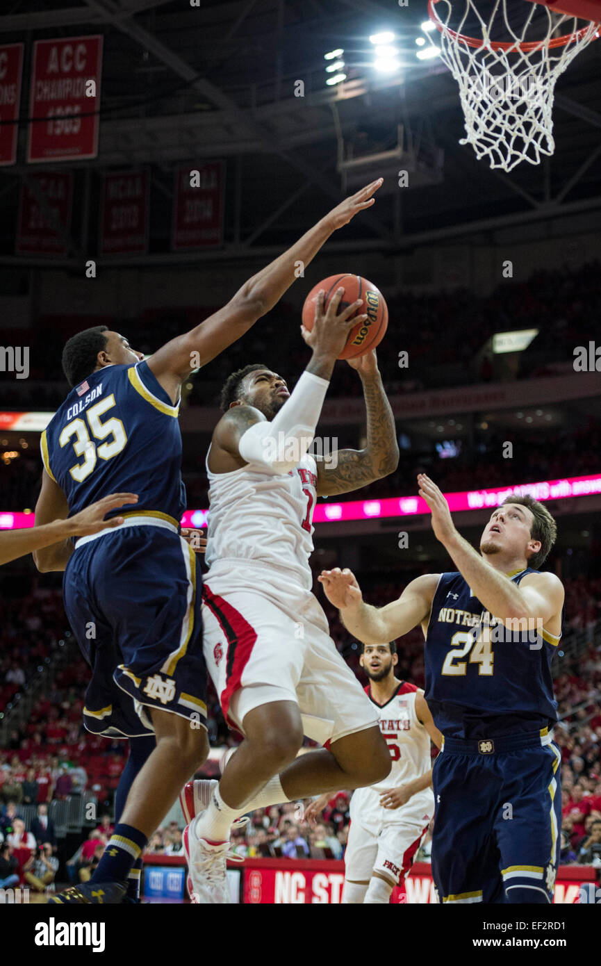Raleigh, NC, USA. 25th Jan, 2015. NC State G Trevor Lacey (1) during ...