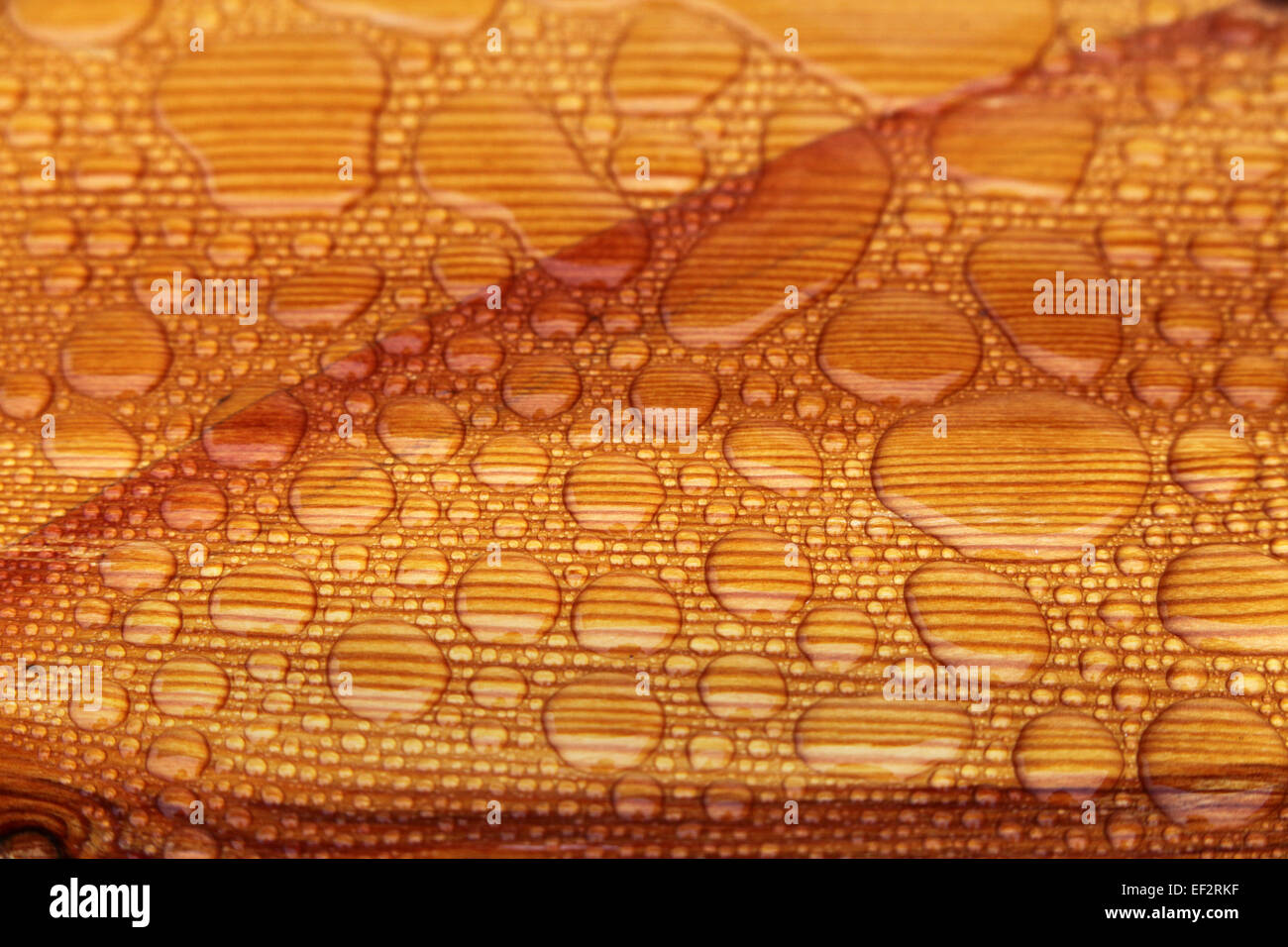 Wet timber hi-res stock photography and images - Alamy