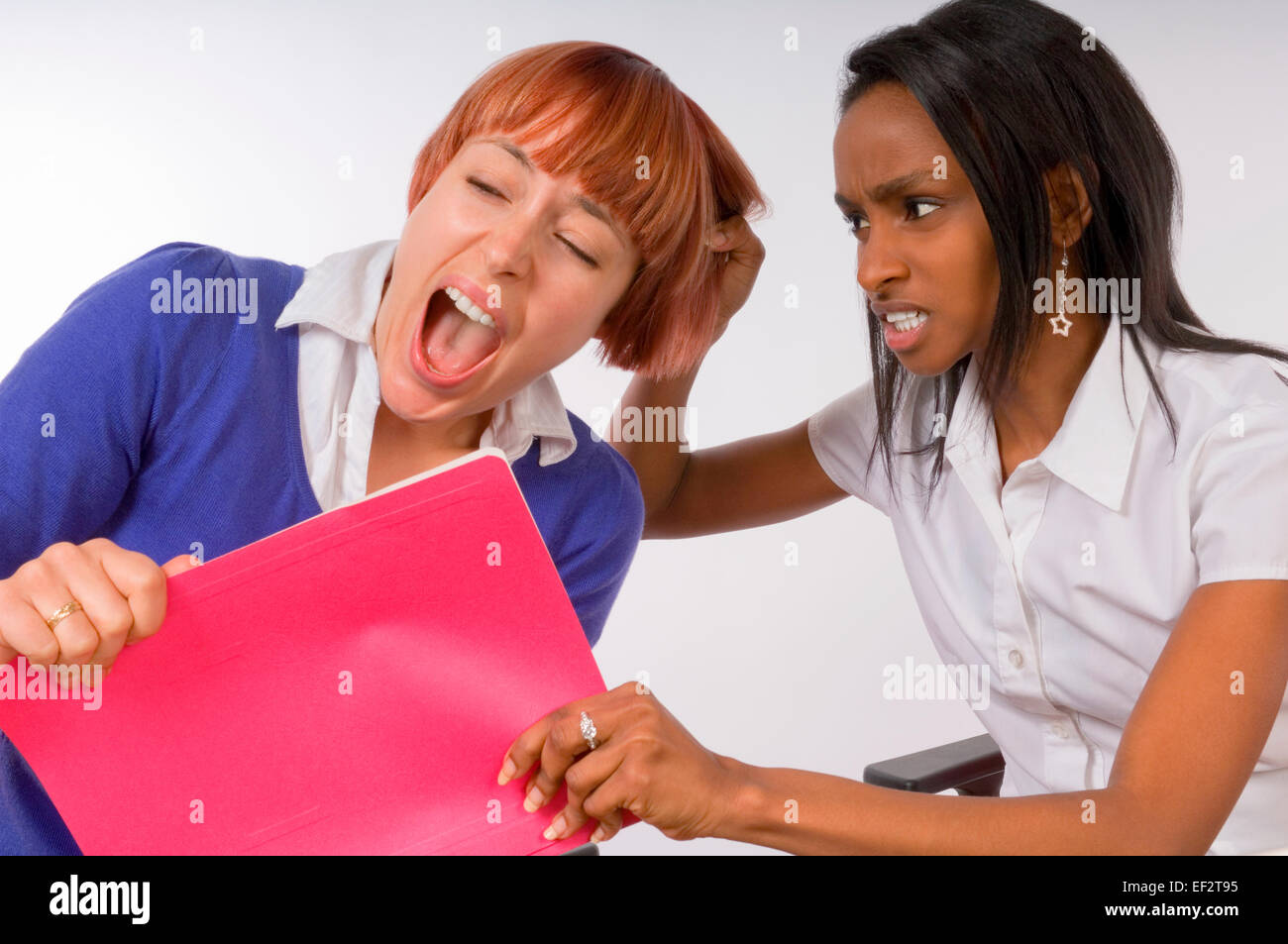 Two businesswomen fighting over file folder Stock Photo - Alamy
