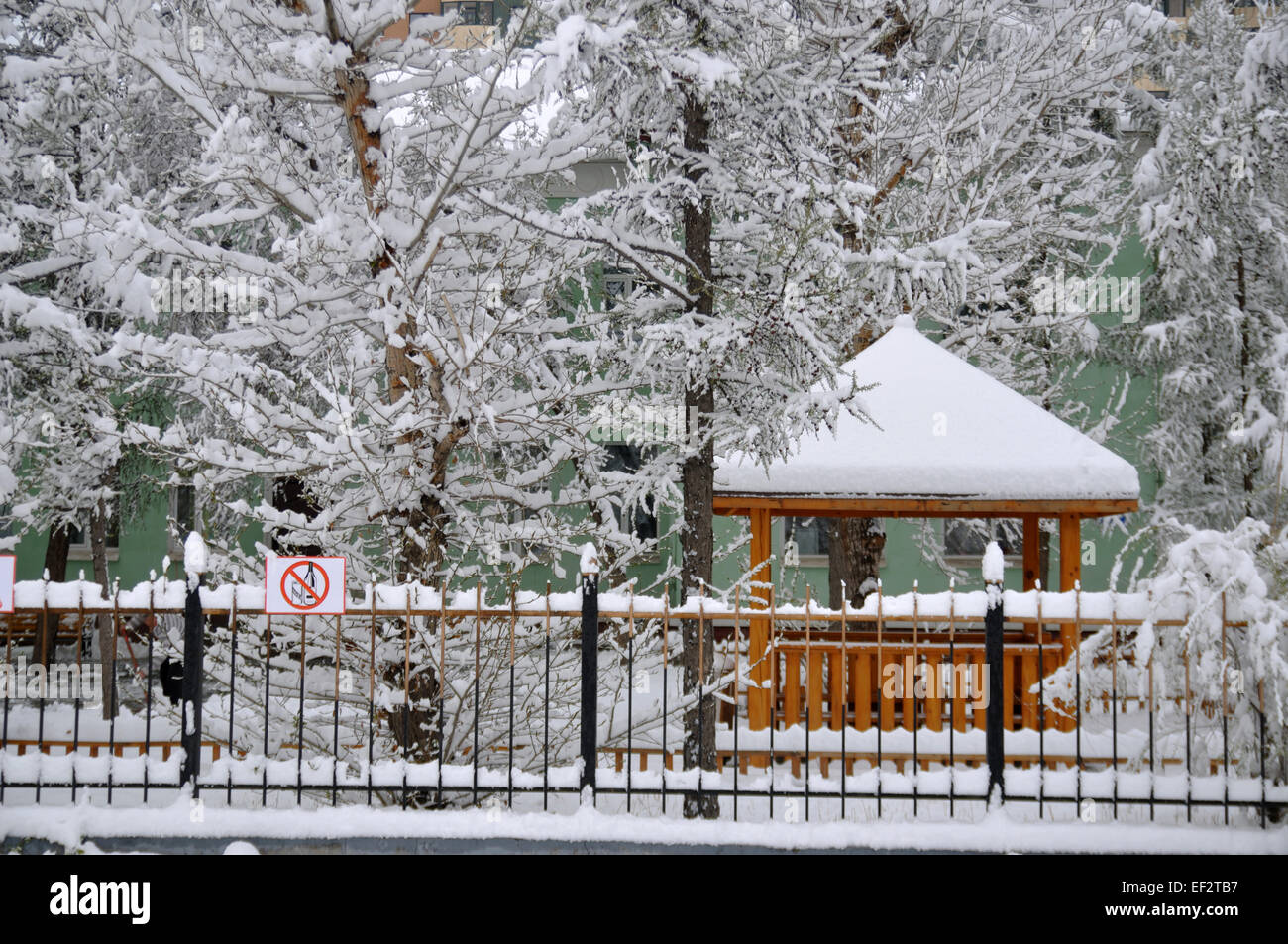 Winter Snow in Mongolia Stock Photo - Alamy