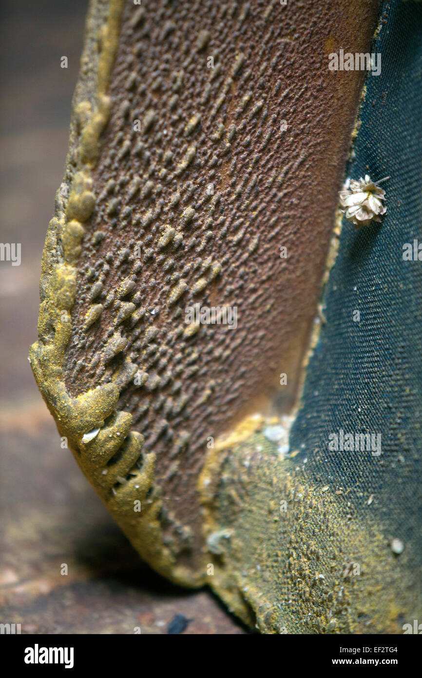 Hop dryer hi-res stock photography and images - Alamy