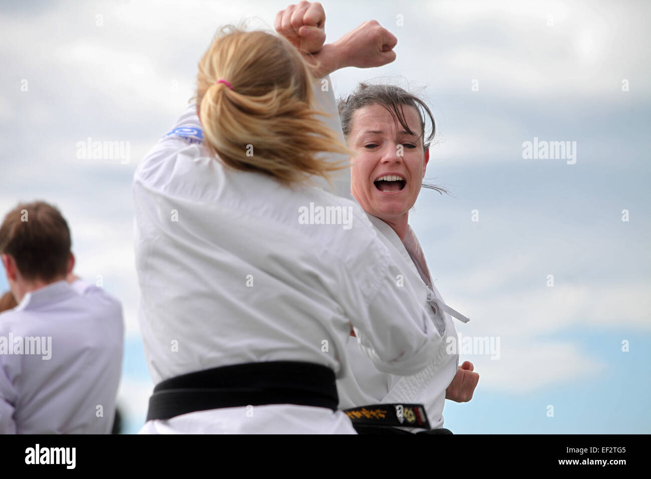 Seido karate new zealand hi-res stock photography and images - Alamy