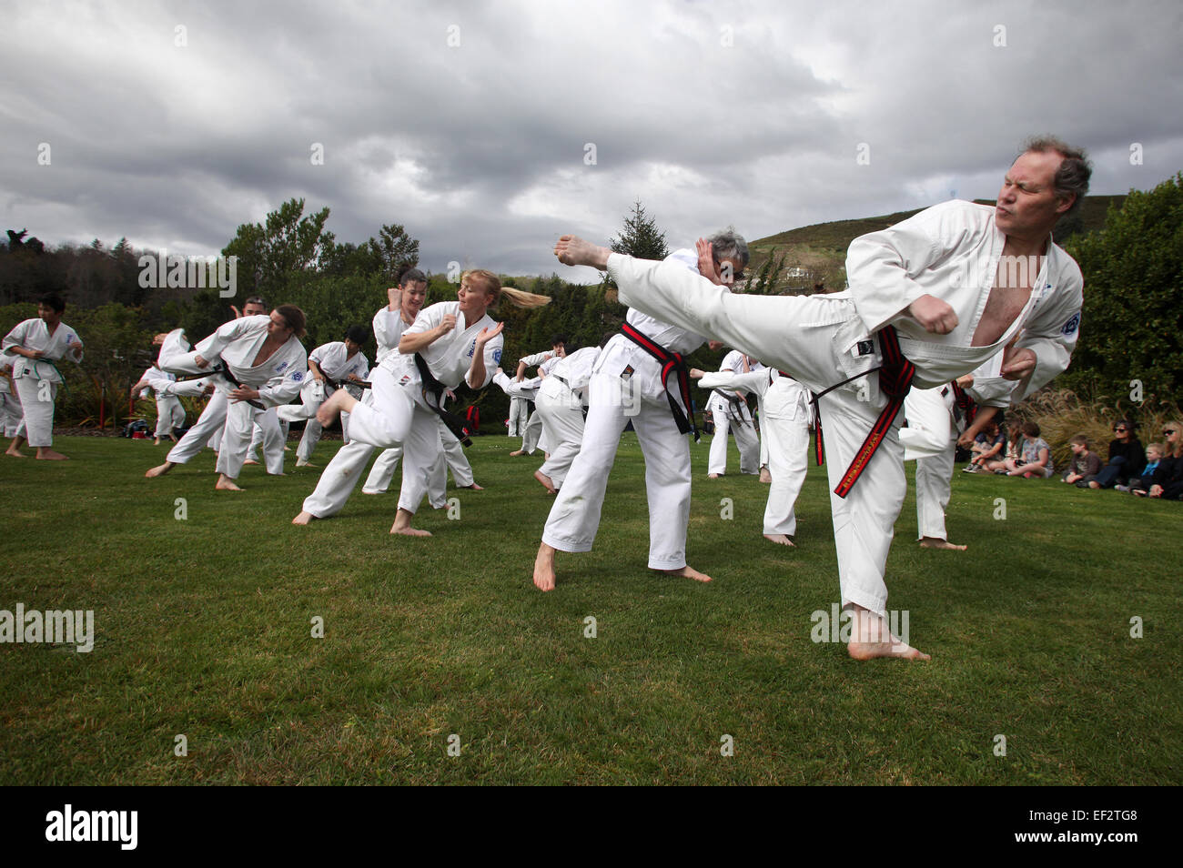 Seido karate new zealand hi-res stock photography and images - Alamy