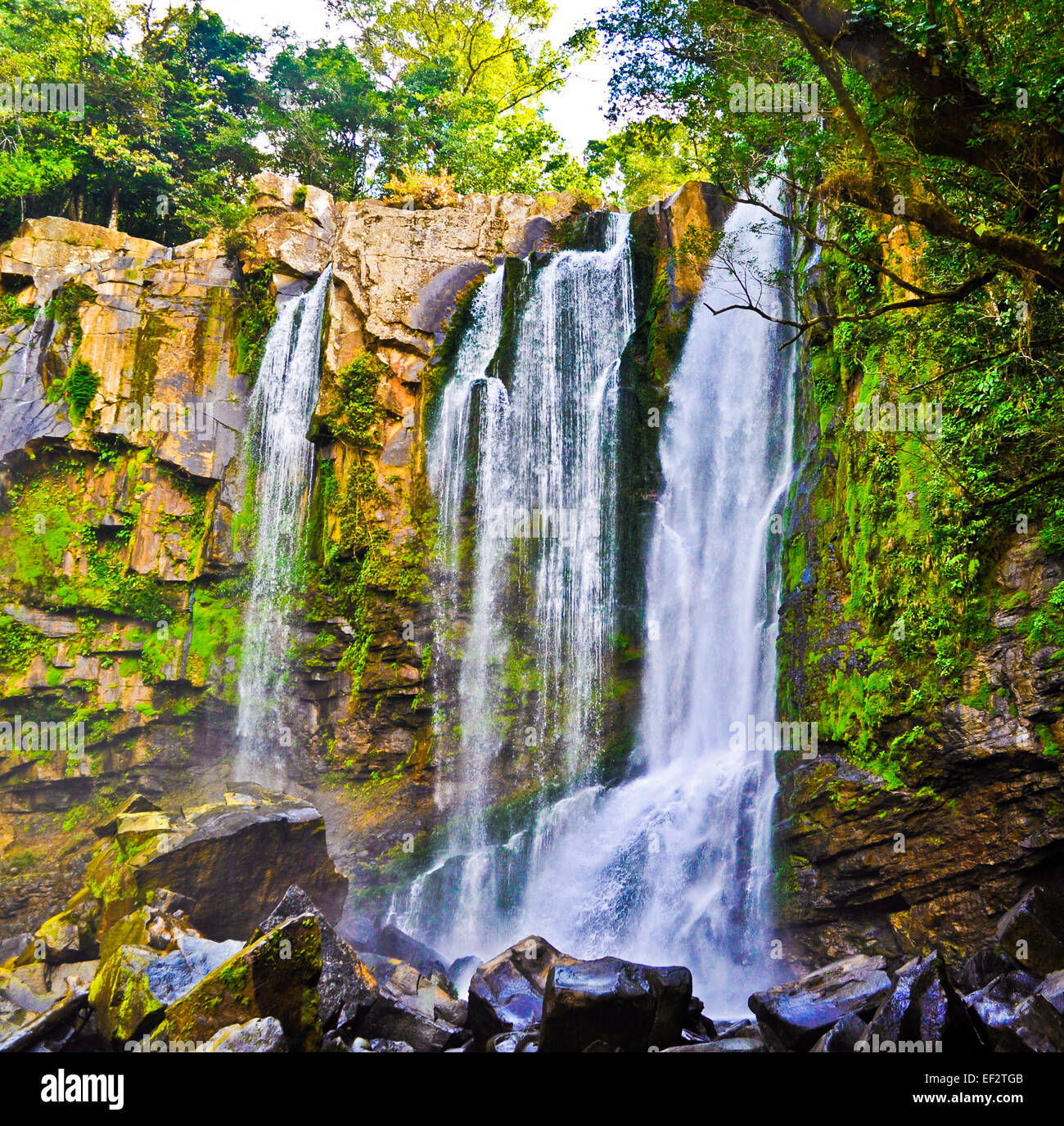 Nauyaca Waterfalls, top tier Stock Photo - Alamy