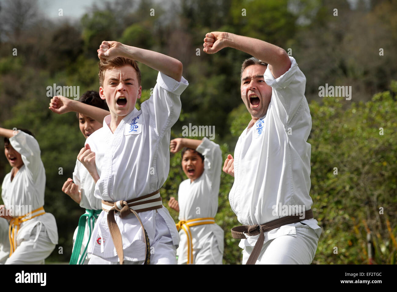 Seido karate new zealand hi-res stock photography and images - Alamy