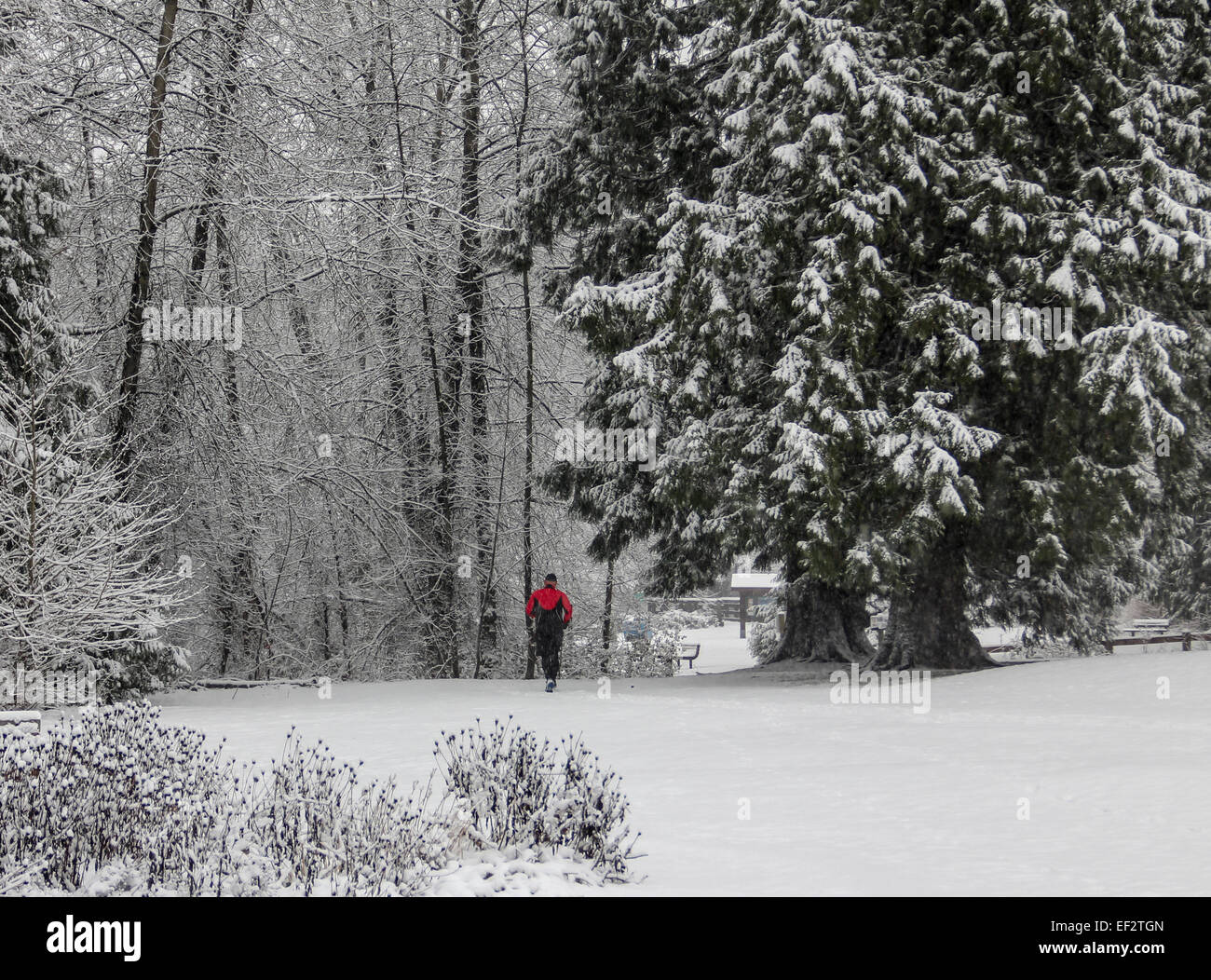 Man running through the snow hi-res stock photography and images - Alamy
