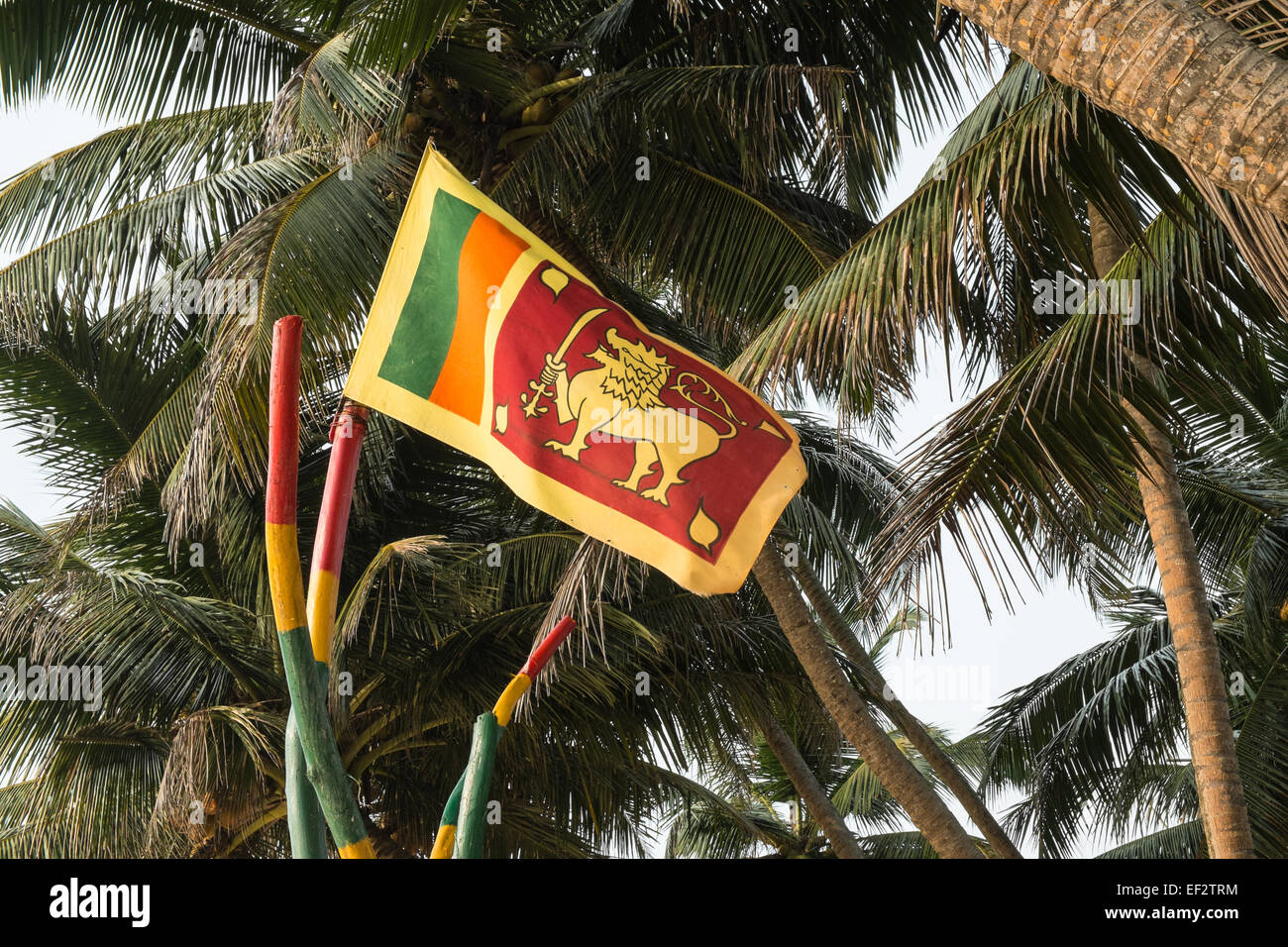 Sri Lanka,Sri Lankan, flag,palm, tree,Hikkaduwa,Beach,tropical Stock ...
