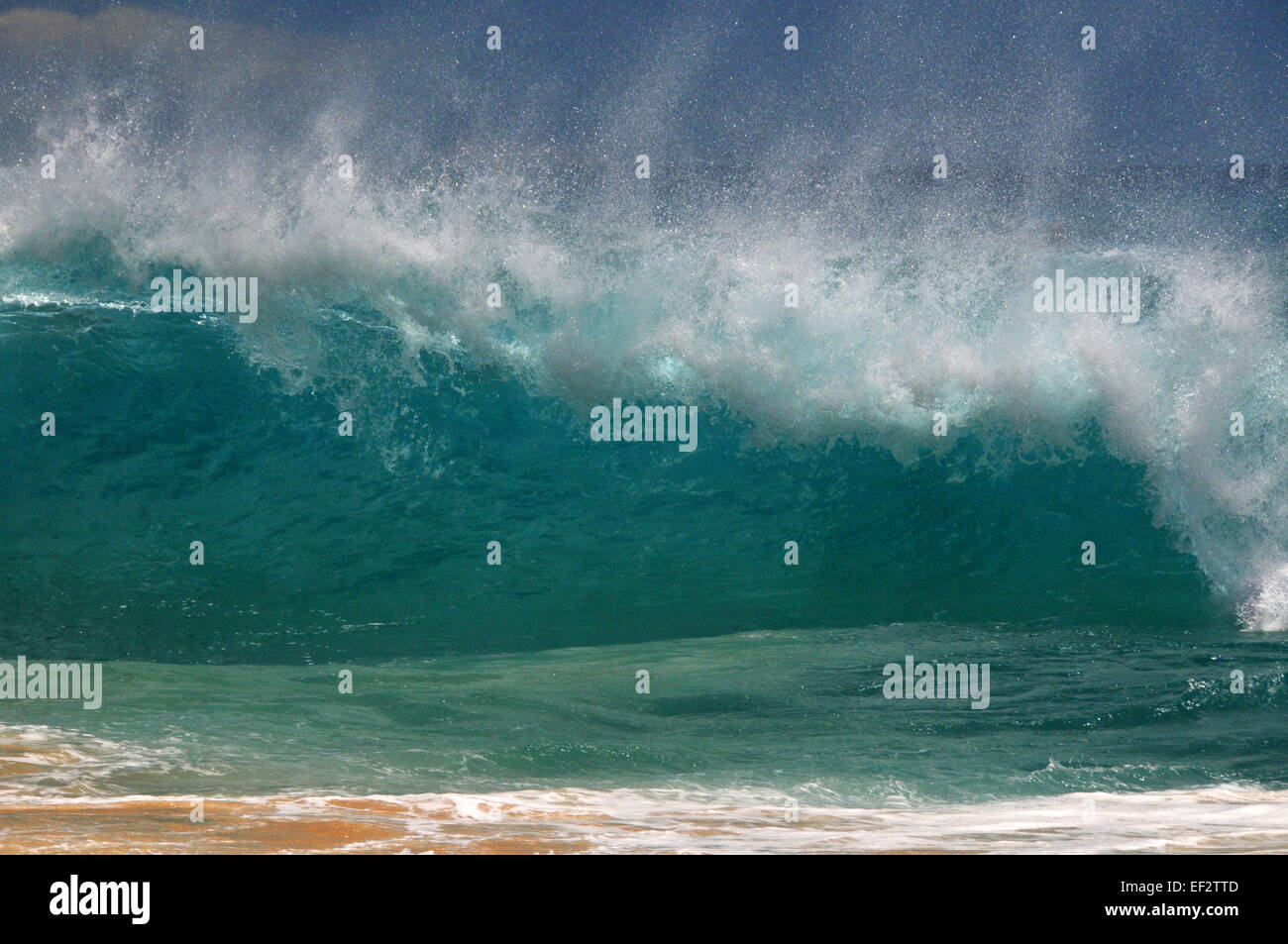 Giant swell at Sandy's beach, Oahu, Hawaii, USA Stock Photo - Alamy