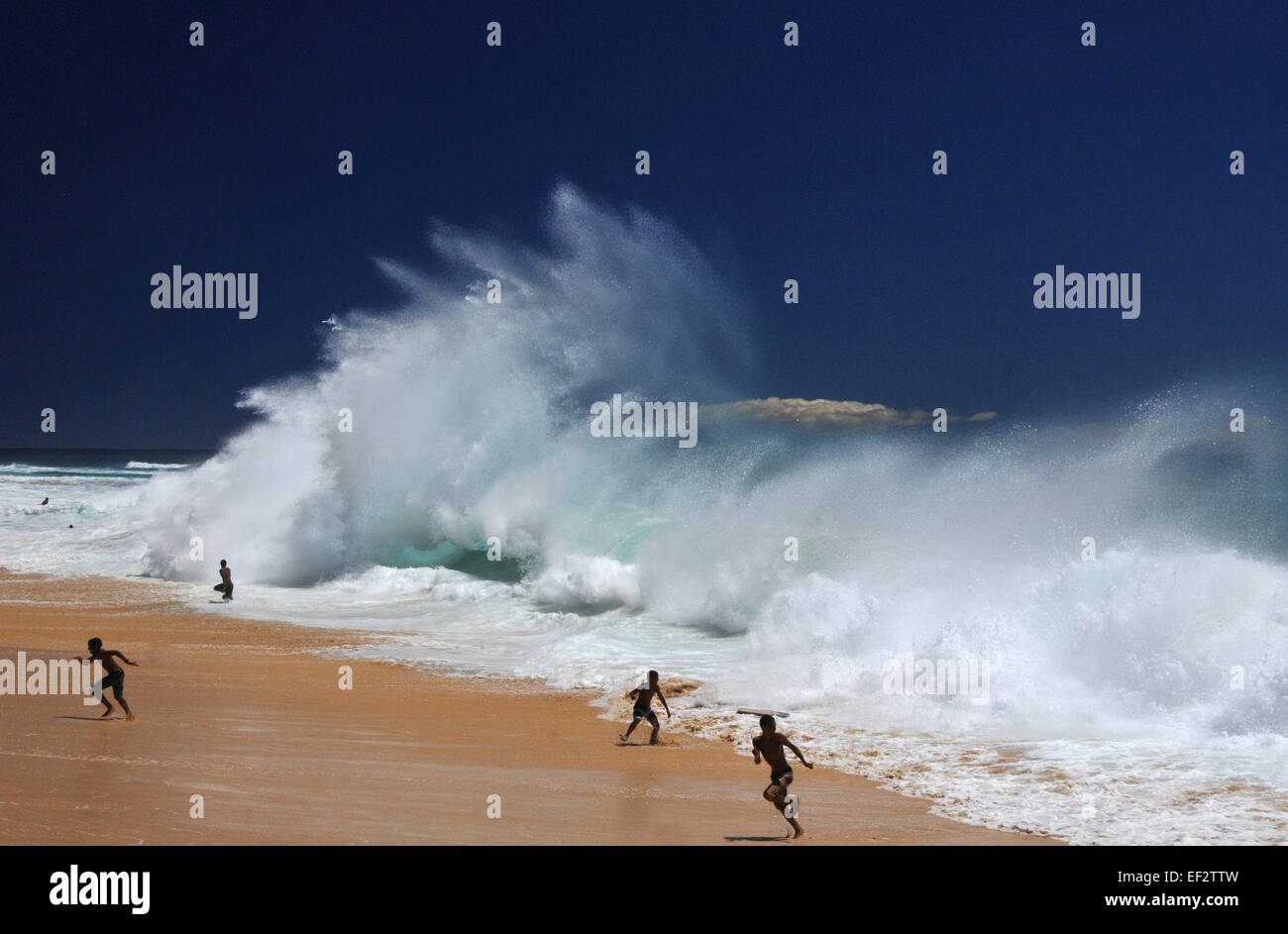 Giant swell at Sandy's beach, Oahu, Hawaii, USA Stock Photo - Alamy