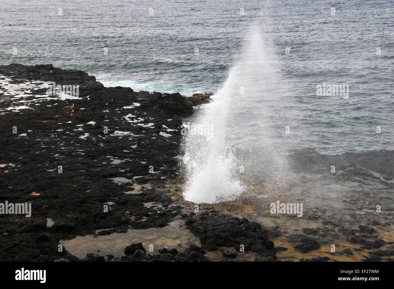 Spouting Horn, Kauai, Hawaii Stock Photo - Alamy