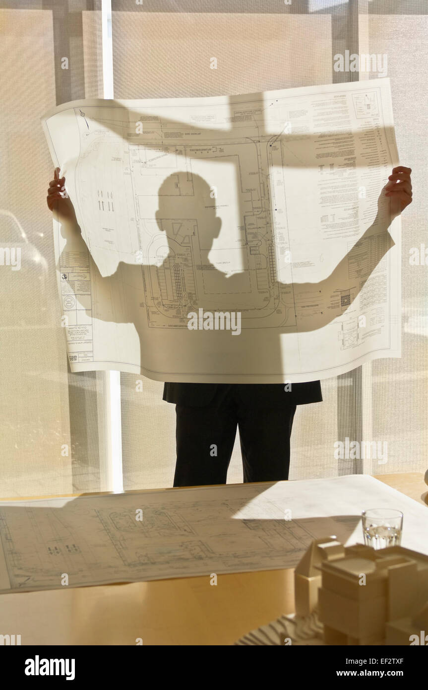 Architect looking at a blueprint Stock Photo - Alamy