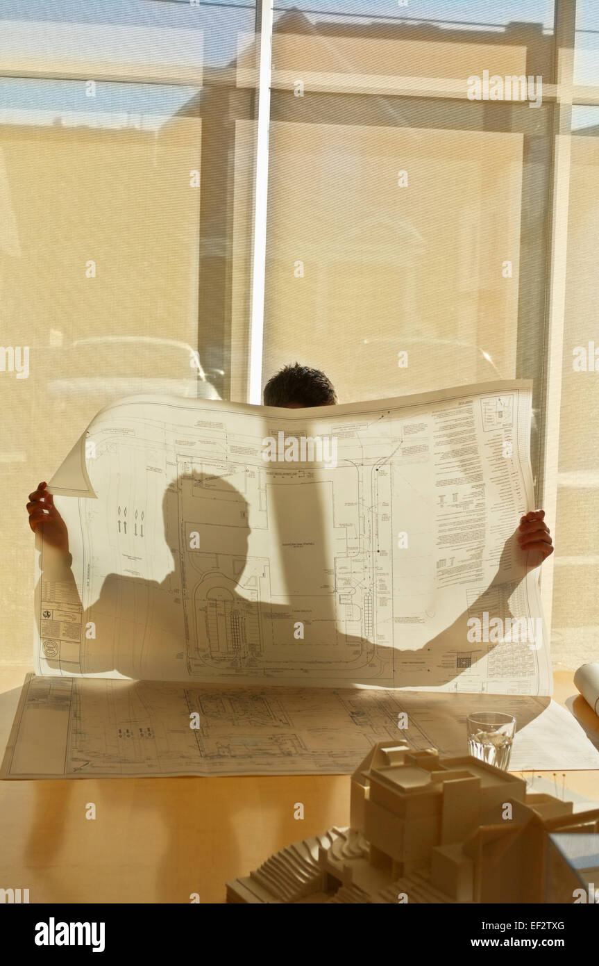 Architect looking at a blueprint Stock Photo - Alamy