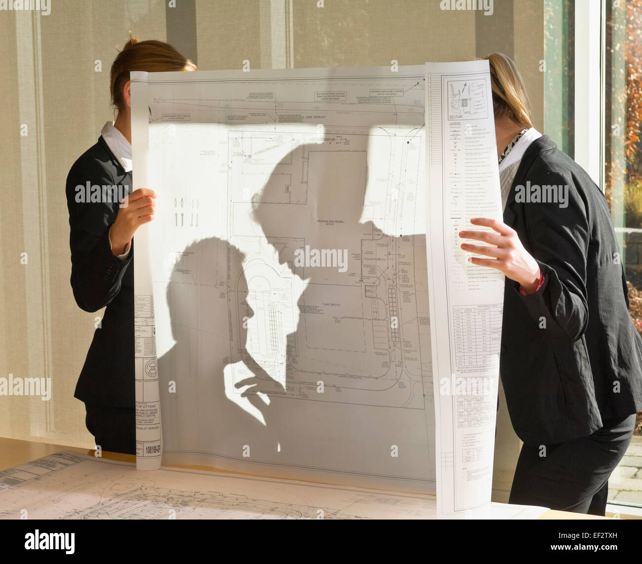 Architects looking at blueprint Stock Photo - Alamy