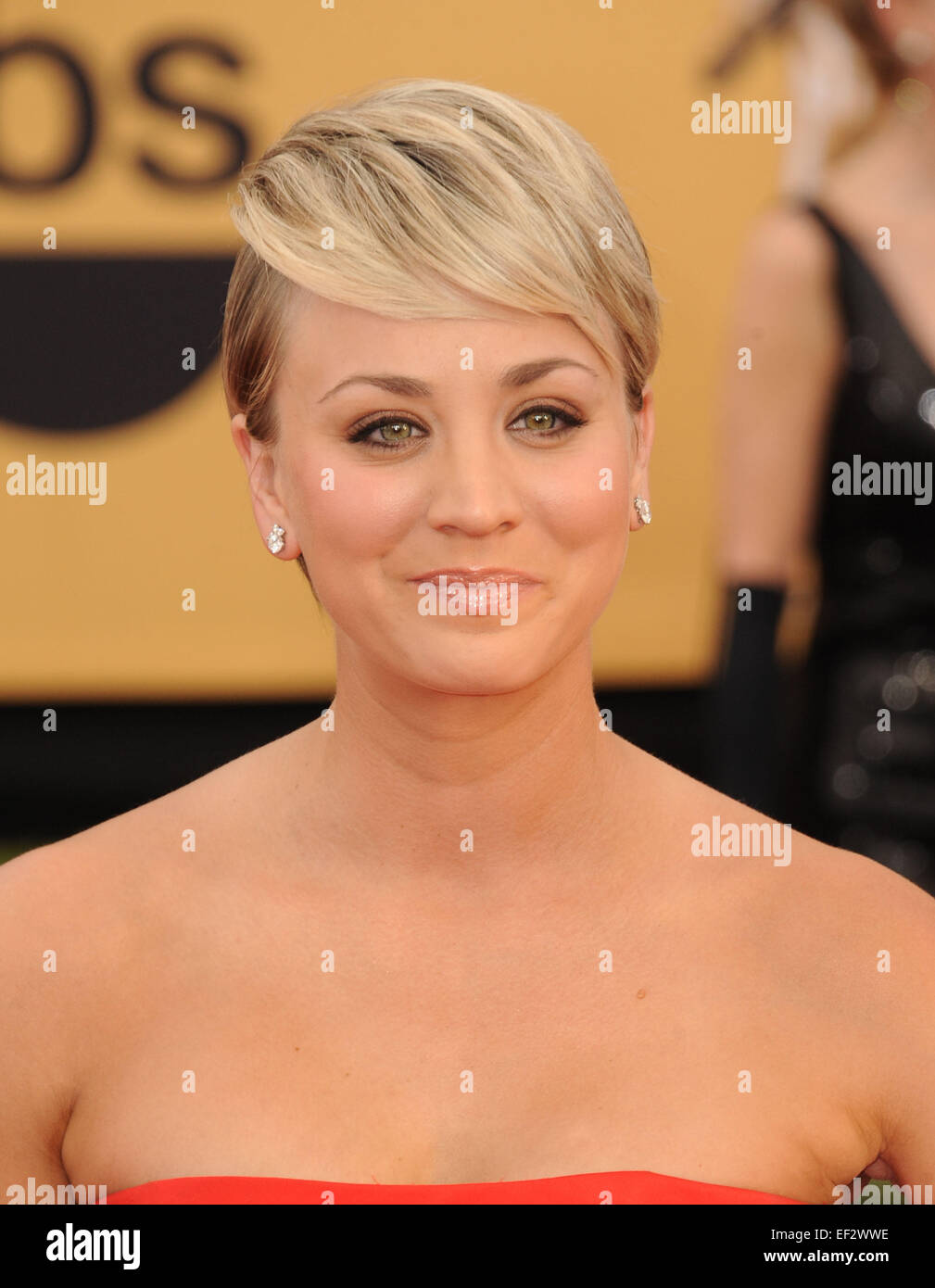 Los Angeles, California, USA. 25th Jan, 2015. Kaley Cuoco-Sweeting ...