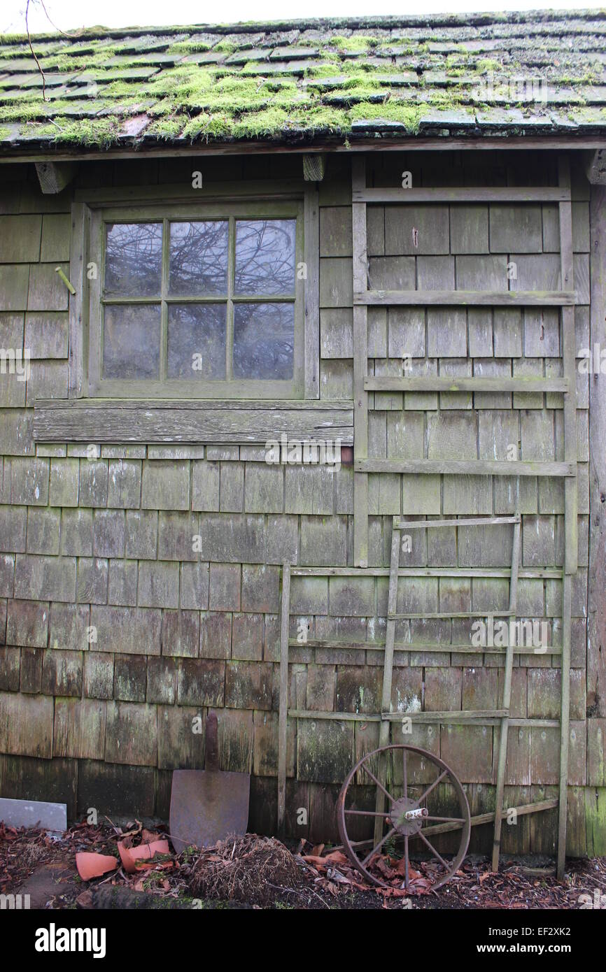 Trellis window hi-res stock photography and images - Alamy