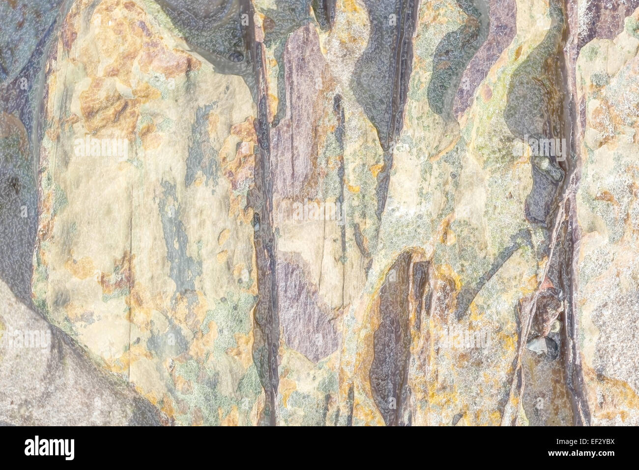 Bright faded nature abstract background or texture Stock Photo - Alamy