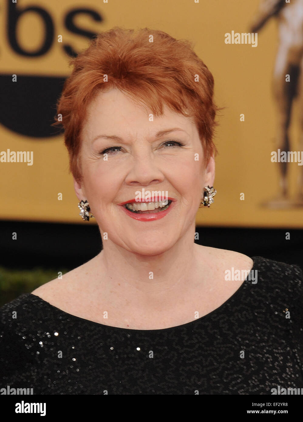 Los Angeles, California, USA. 25th Jan, 2015. Beth Fowler attending the ...