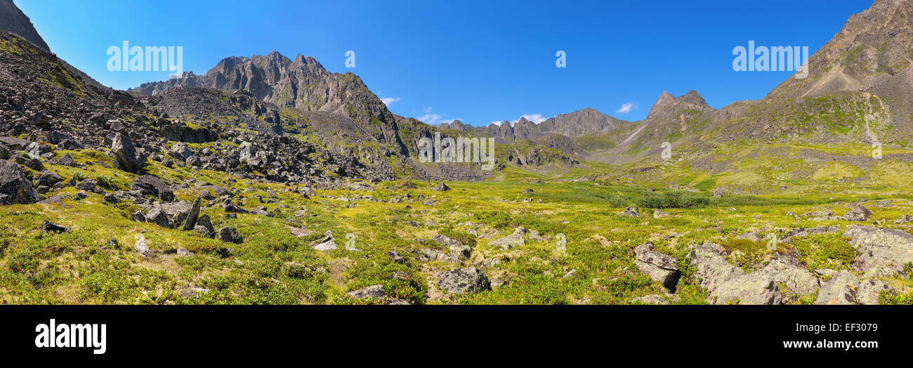 Mountain - Dinosaur. Panorama of summer alpine tundra. Geotag Stock ...