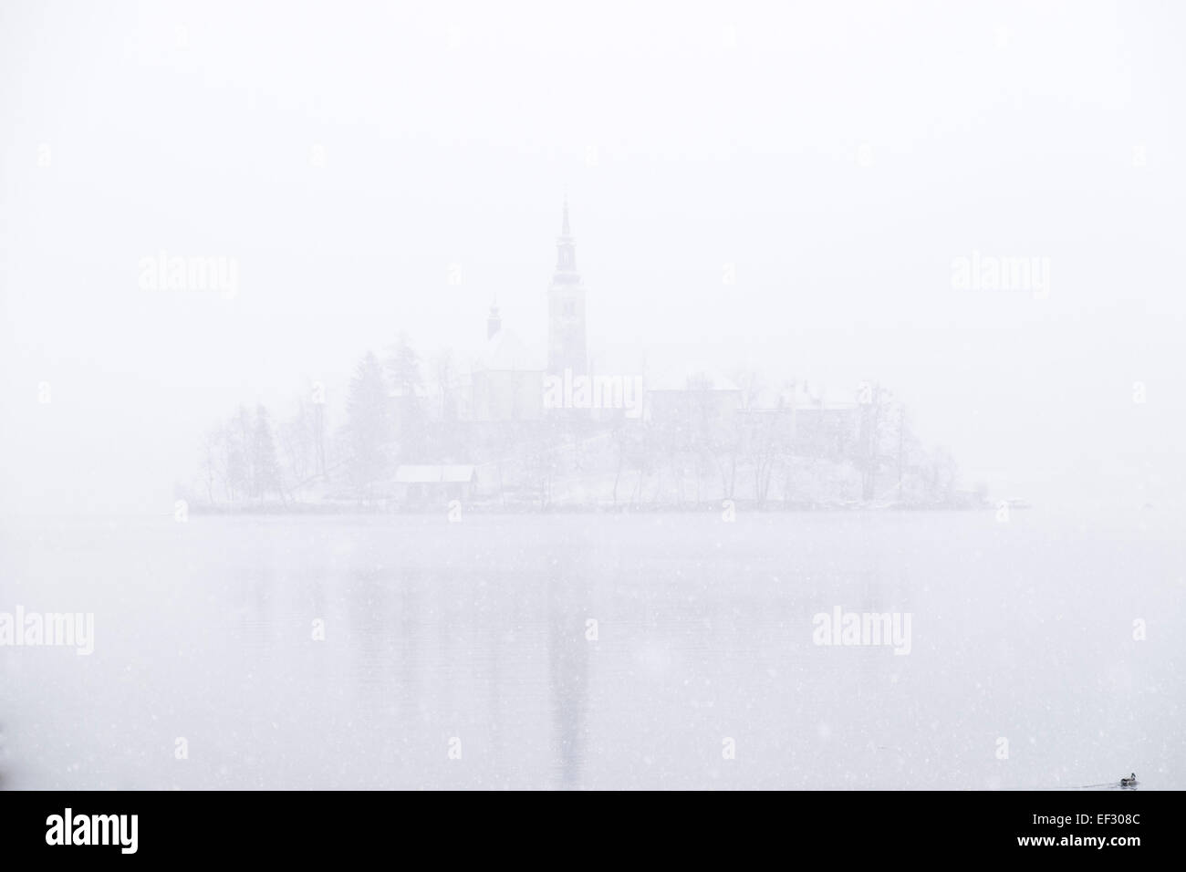 Winter view of Lake Bled Island on a misty day, lake Bled, Slovenia ...