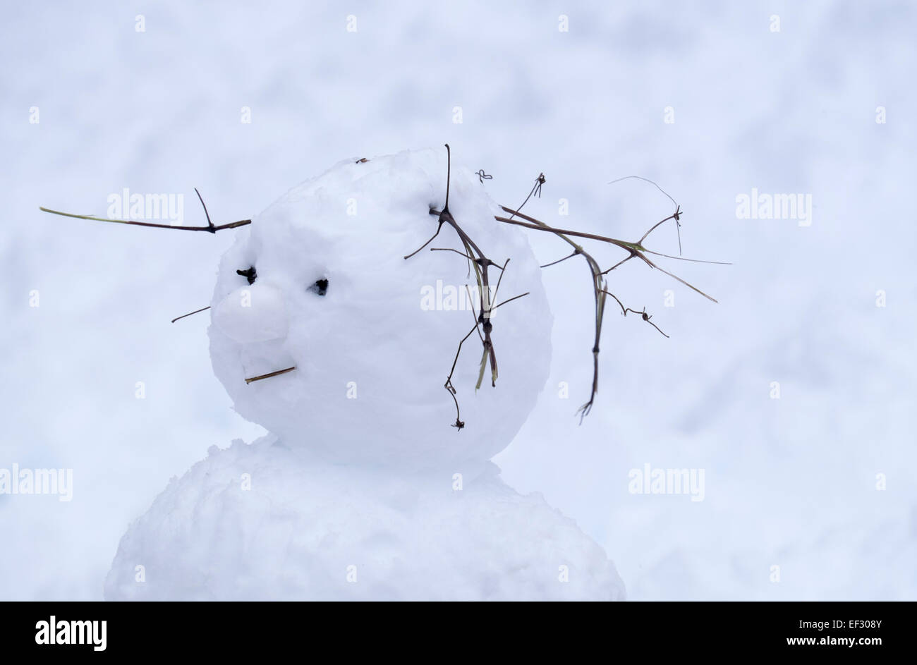 A Snowman with twigs for hair Stock Photo - Alamy