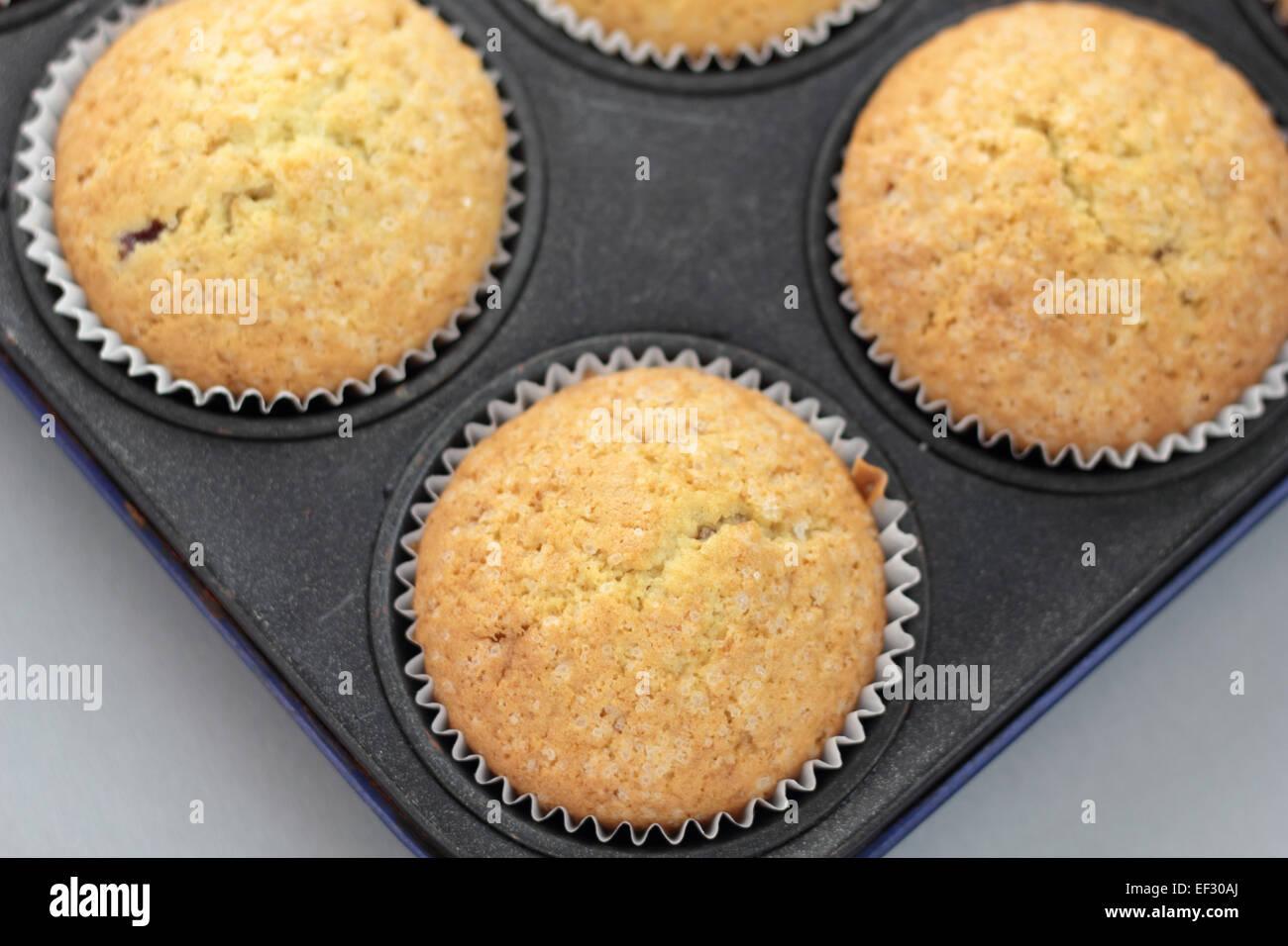 Undecorated cupcakes hi-res stock photography and images - Alamy
