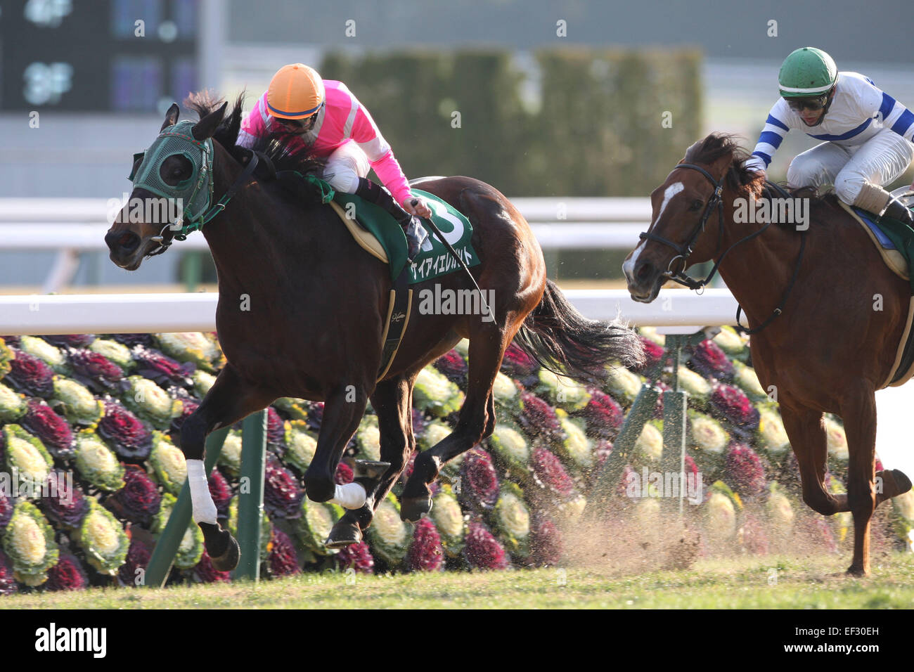 Kyoto, Japan. 24th Jan, 2015. (L-R) Keiai Elegant (Hiroyuki Uchida ...