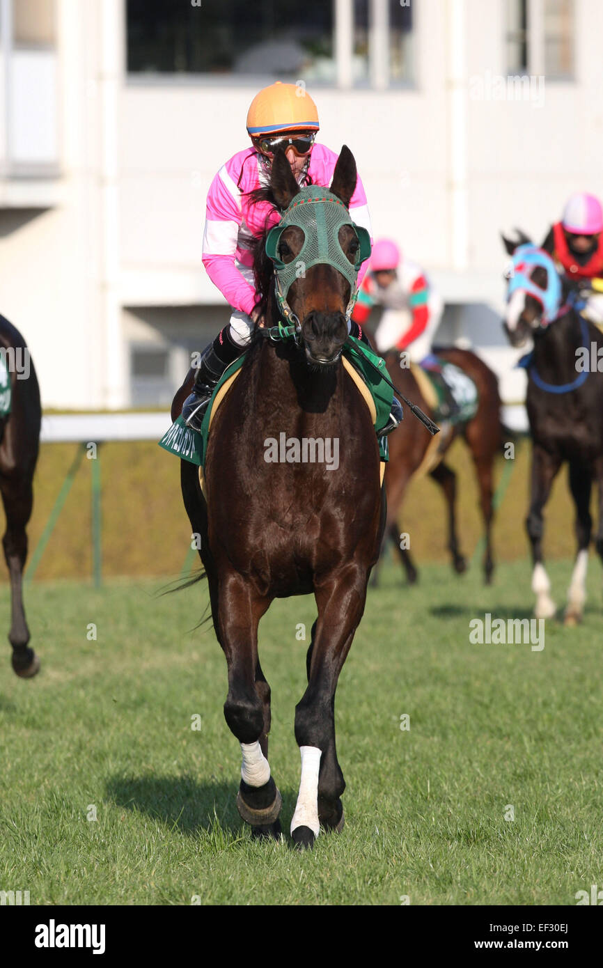 Kyoto, Japan. 24th Jan, 2015. Keiai Elegant (Hiroyuki Uchida) Horse ...