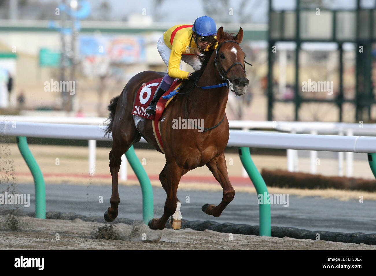 Aichi, Japan. 25th Jan, 2015. Copano Rickey (Yutaka Take) Horse Racing ...
