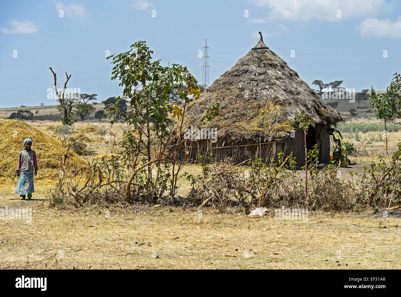 Oromo hi-res stock photography and images - Alamy