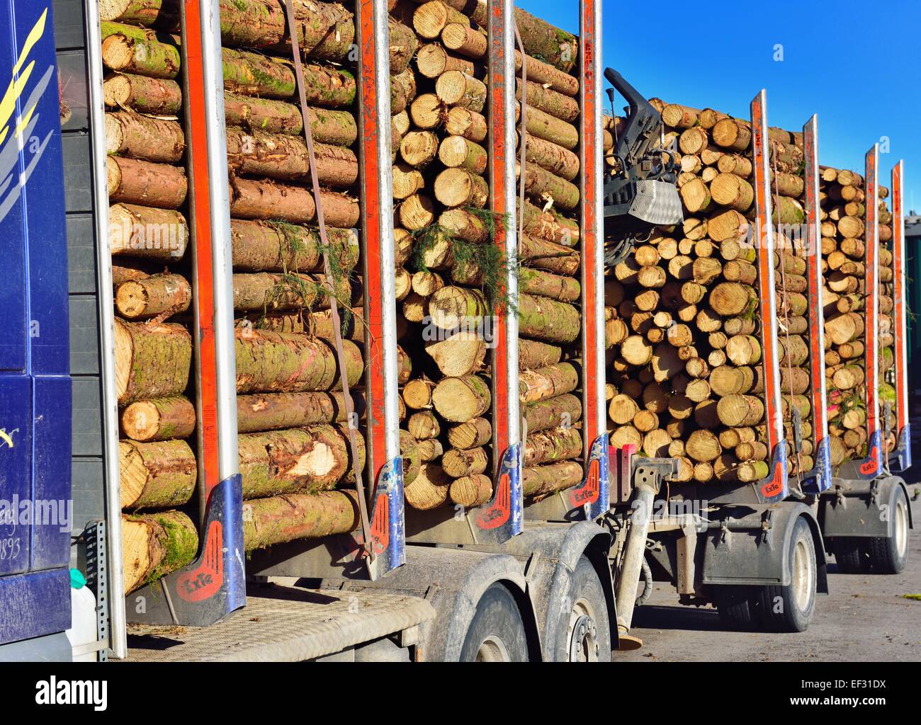 Trailer loaded with timber hi-res stock photography and images - Alamy