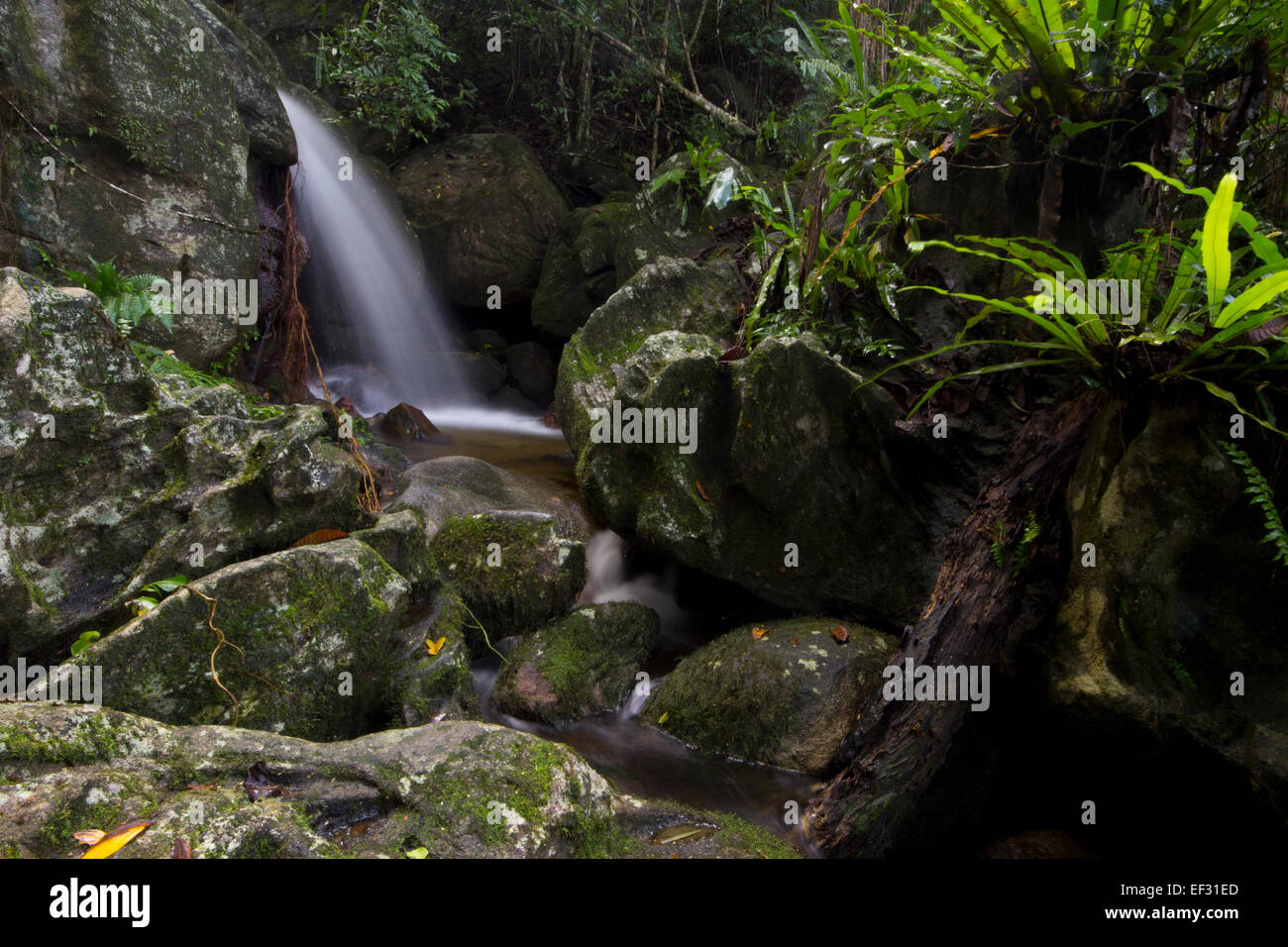 Waterfall on Nosy Mangabe, Northeastern Madagascar, Madagascar Stock ...