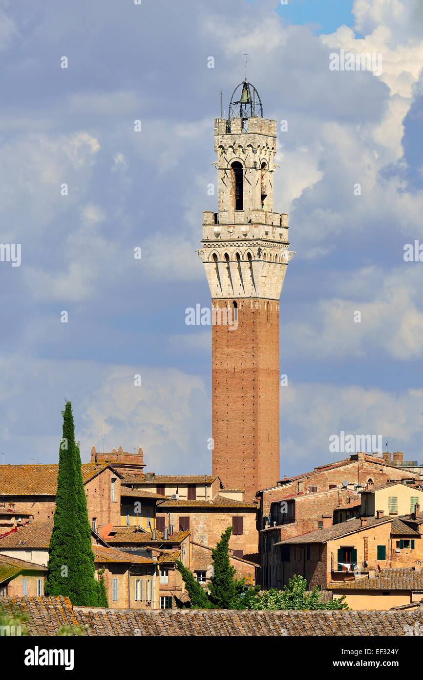 Tower siena hi-res stock photography and images - Alamy