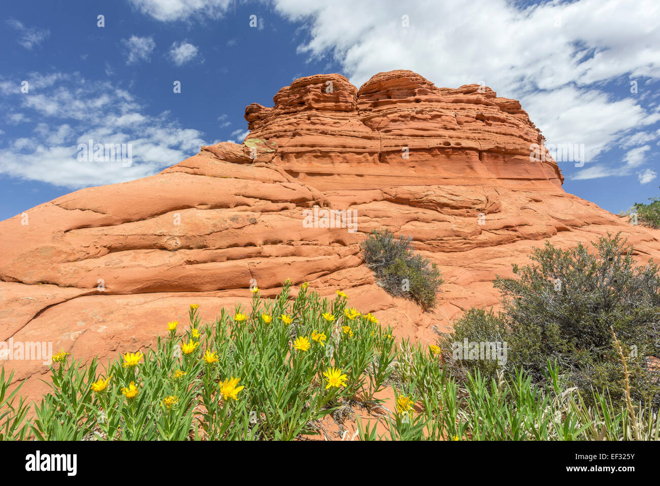 Rock formations of the Teepees, South Coyote Butt, Marble Canyon ...