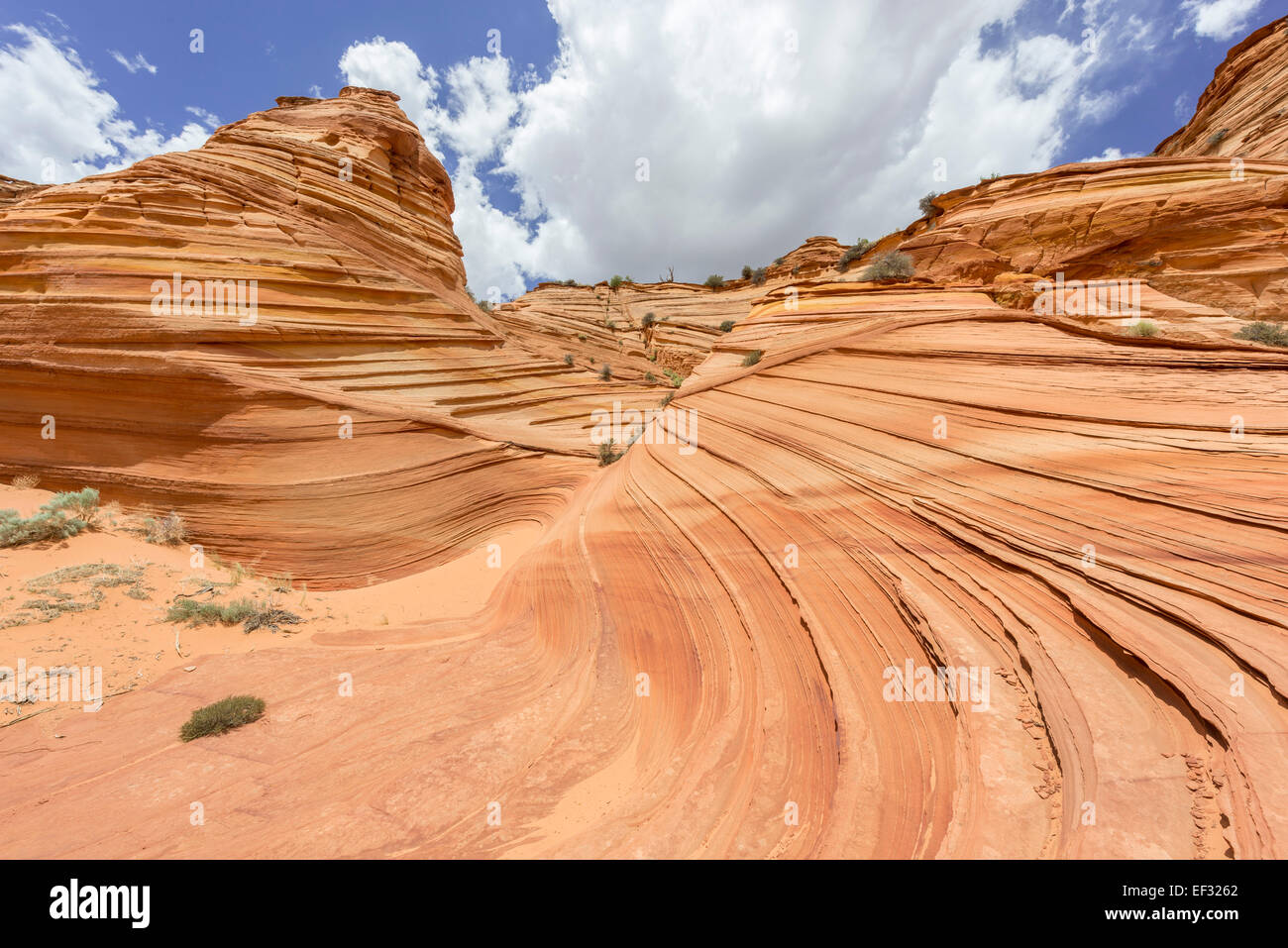 Rock formations of the Teepees, South Coyote Butt, Marble Canyon ...
