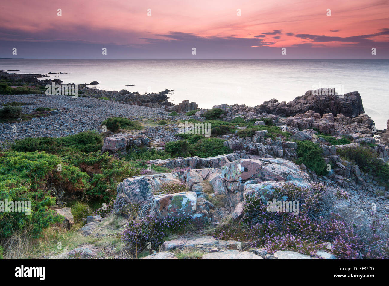 Scania nature hi-res stock photography and images - Alamy