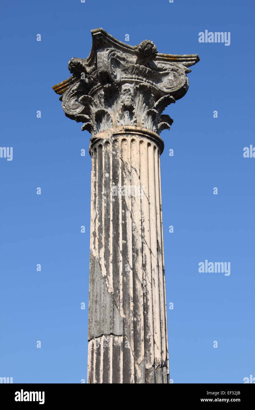 Ruin of an ancient corinthian column Stock Photo - Alamy