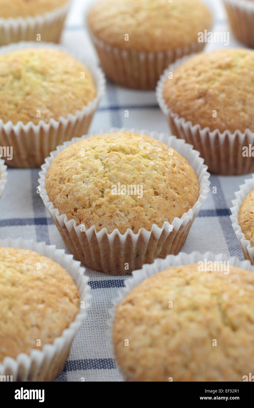 Undecorated cupcakes hi-res stock photography and images - Alamy