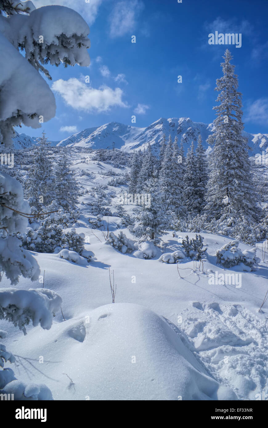 Slovakia mountains hi-res stock photography and images - Alamy
