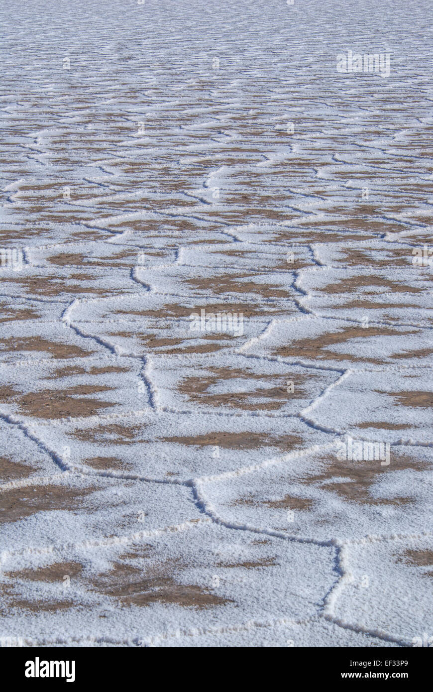Beautiful texture on salt planes Salina Grandes in Argentina Stock ...