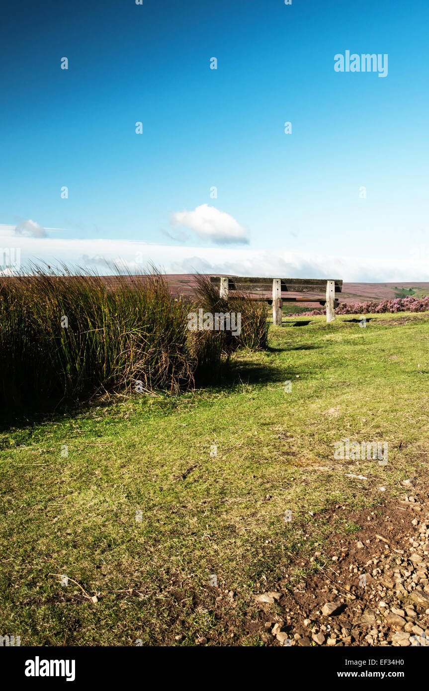 the empty moorland Yorkshire in the sun Stock Photo - Alamy