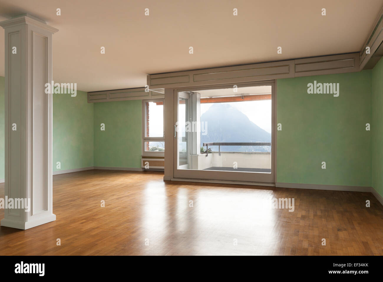 Interior, empty apartment in style classic, large room with panoramic ...