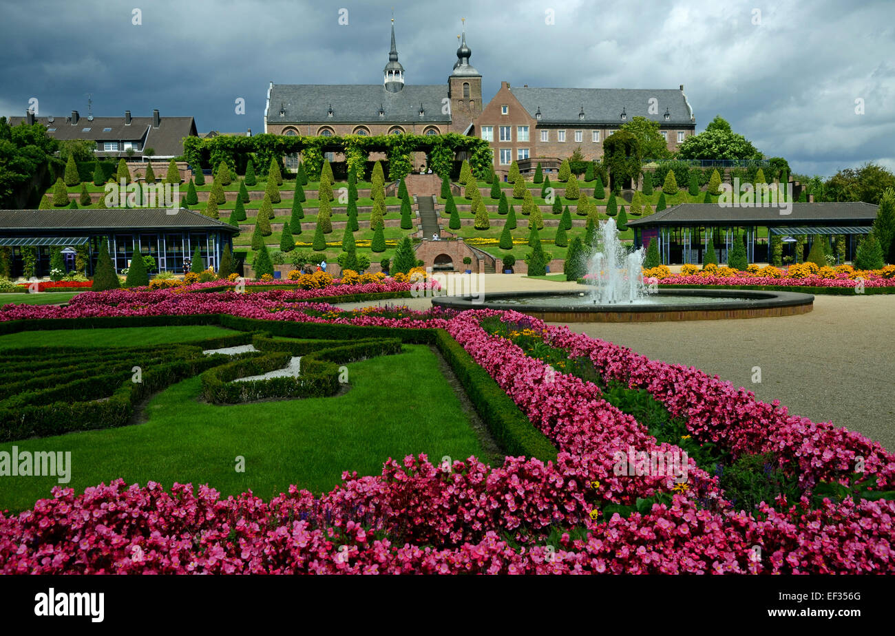 Begonia flowers in the terrace garden of Kamp Abbey in Kamp-Lintfort ...
