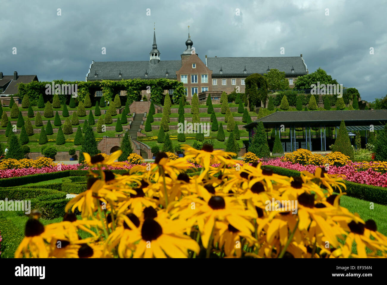 Begonia flowers and coneflowers in the terrace garden of Kamp Abbey in ...