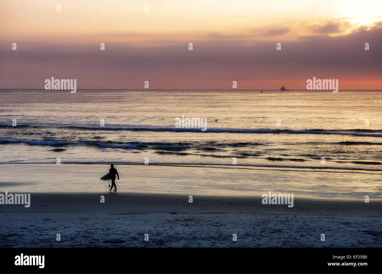 Surfer at sunset at the beach Stock Photo - Alamy