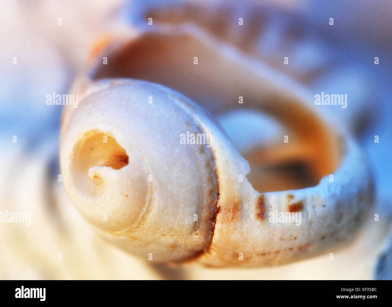 Fragile ocean hi-res stock photography and images - Alamy
