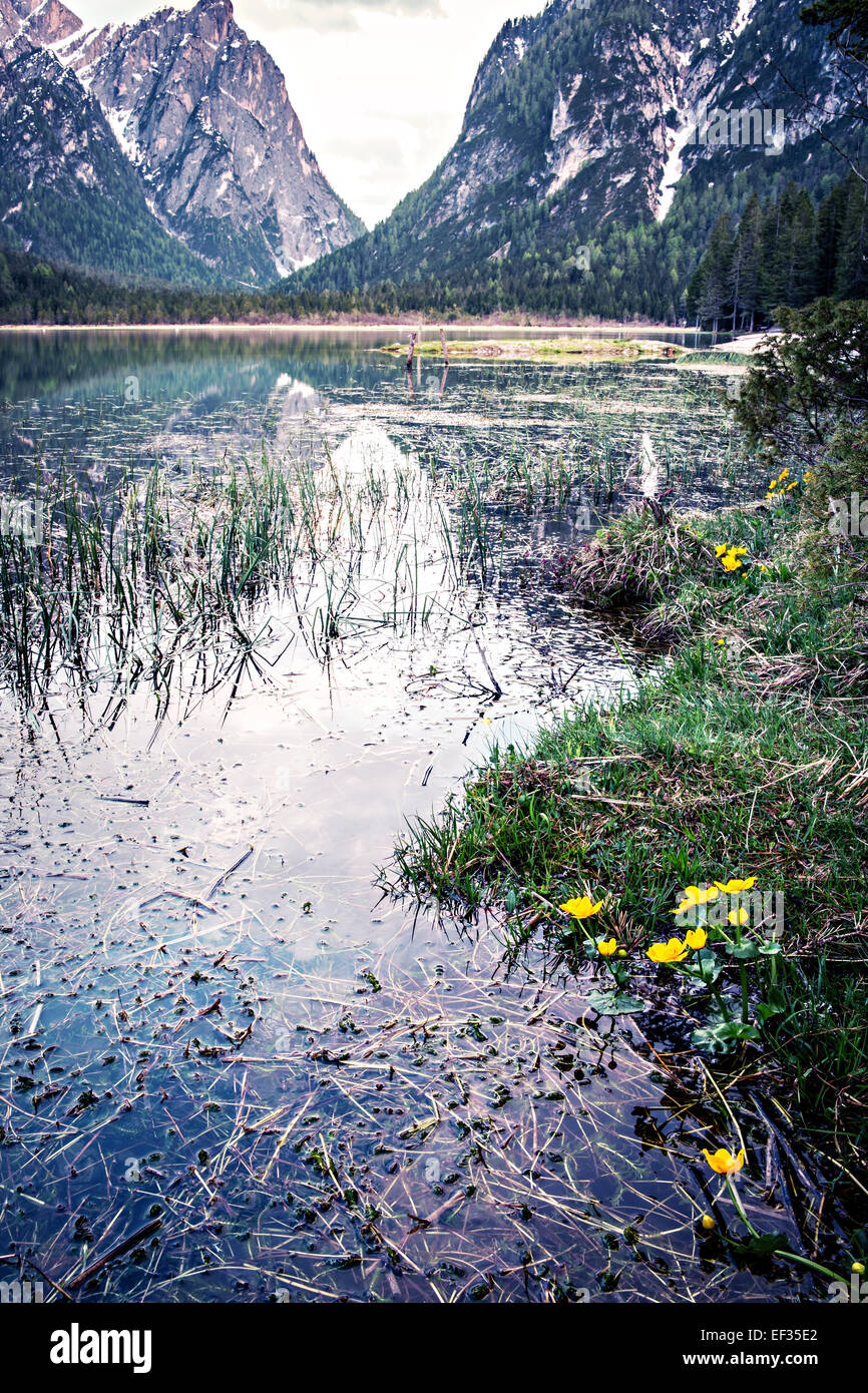 Lago di Dobbiaco alias Toblacher See in Dolomite Alps, South Tirol ...